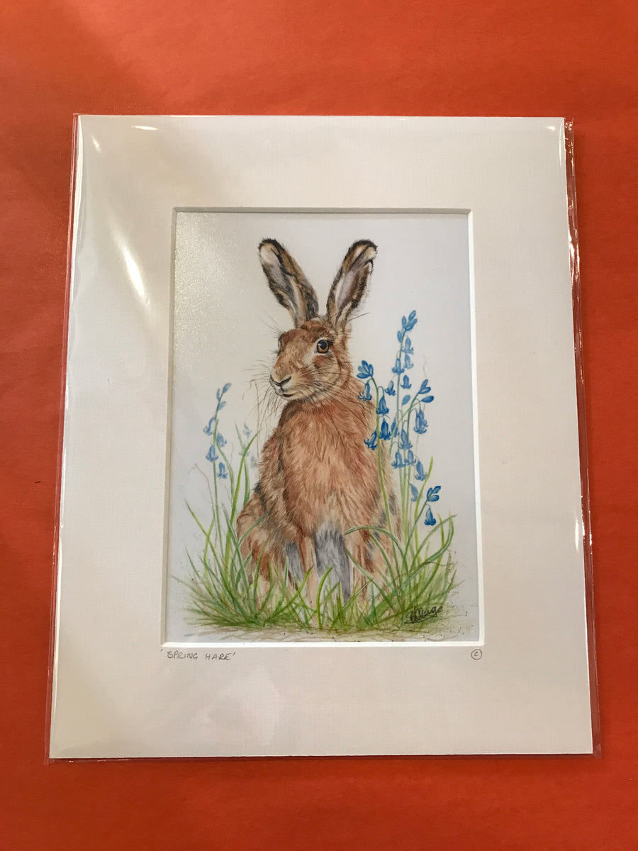 Small Spring Hare Art Print – Copper Fox of Ironbridge